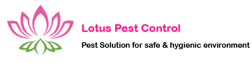LOTUS PEST CONTROL - Pest Solution for safe & hygienic environment